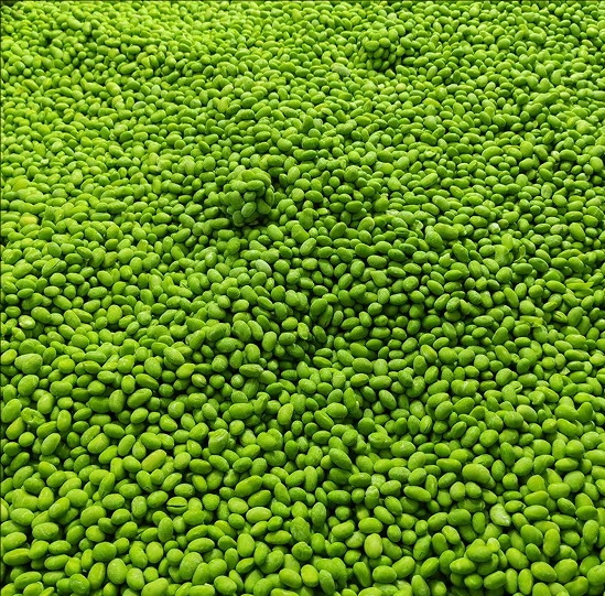 soy beans kernels- Tianjin FCF Biotechnology Co., Ltd