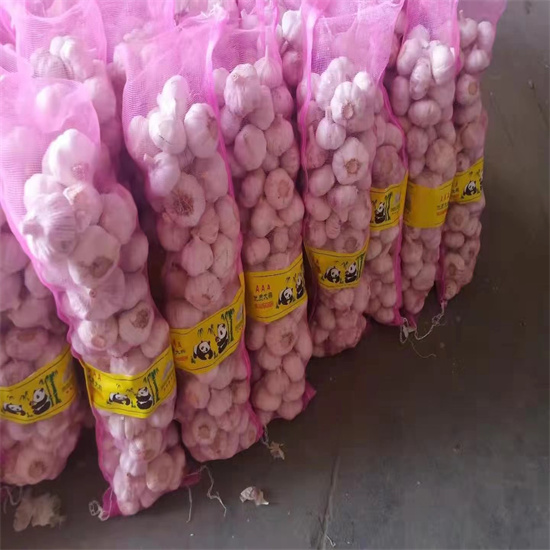 Fresh vegetables- Tianjin FCF Biotechnology Co., Ltd